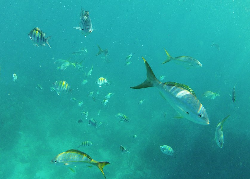 The Indians, British Virgin Islands (BVI)