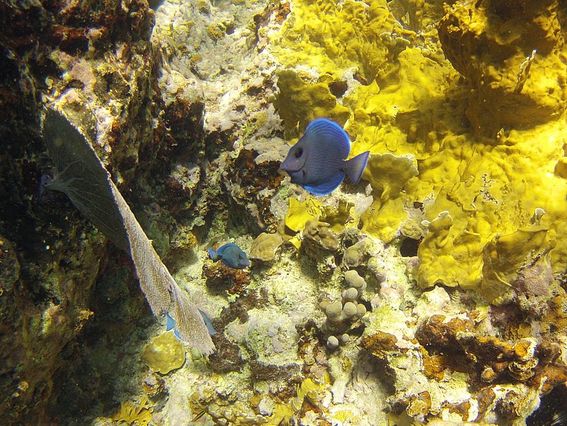 The Indians, British Virgin Islands (BVI)