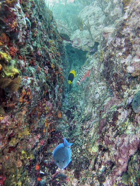 The Indians, British Virgin Islands (BVI)