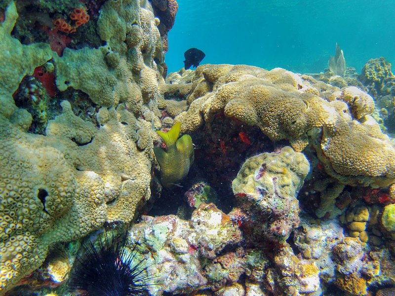 The Indians, British Virgin Islands (BVI)