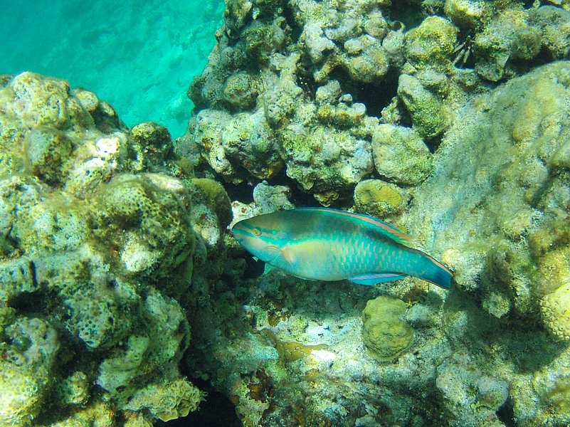 The Indians, British Virgin Islands (BVI)