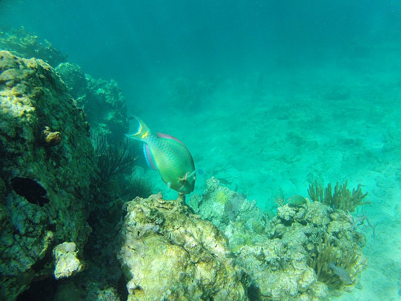 The Indians, British Virgin Islands (BVI)