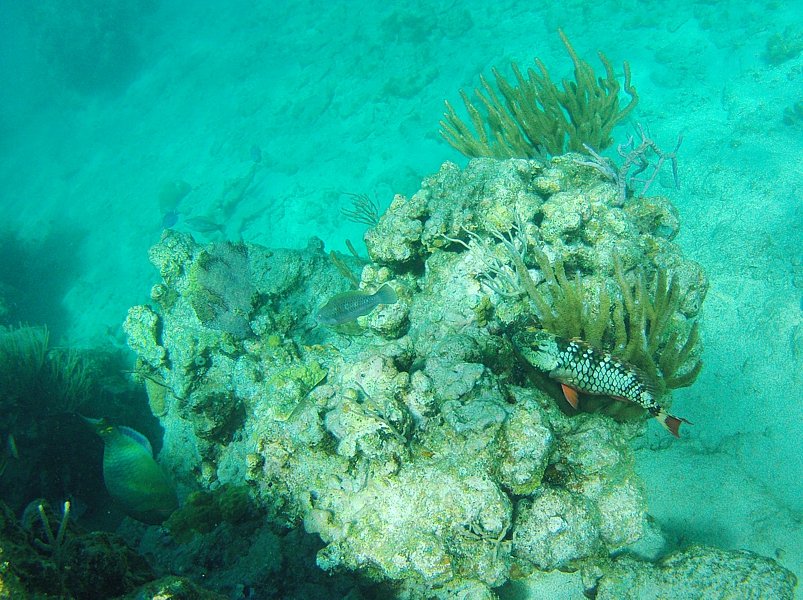 The Indians, British Virgin Islands (BVI)