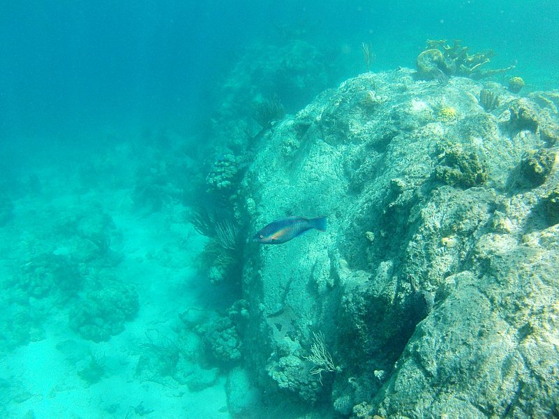 The Indians, British Virgin Islands (BVI)
