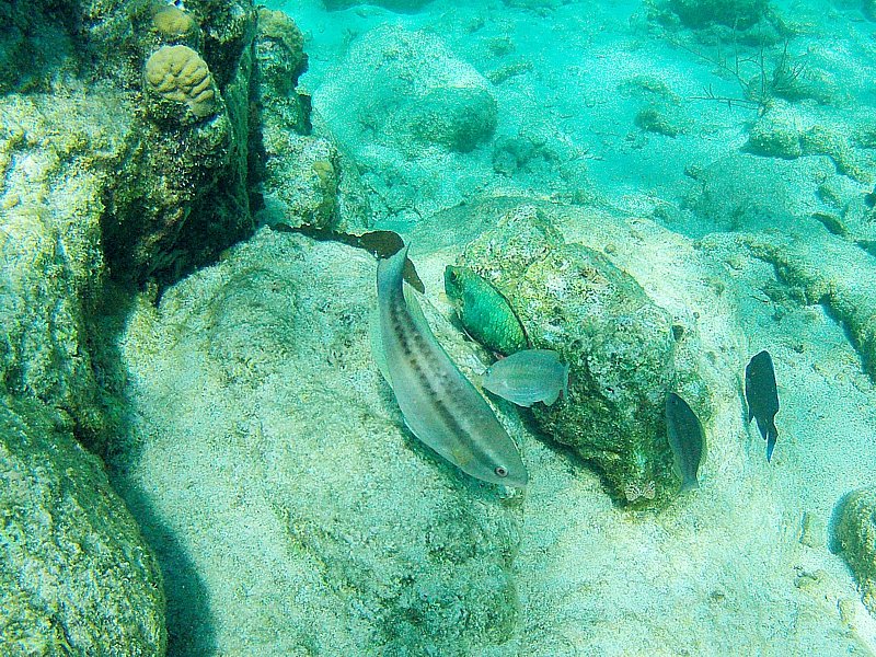 The Indians, British Virgin Islands (BVI)