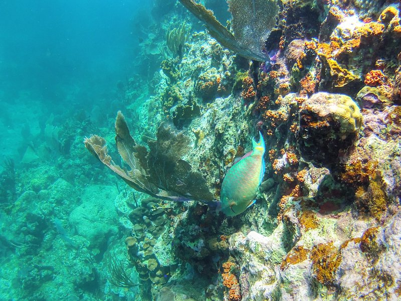 The Indians, British Virgin Islands (BVI)