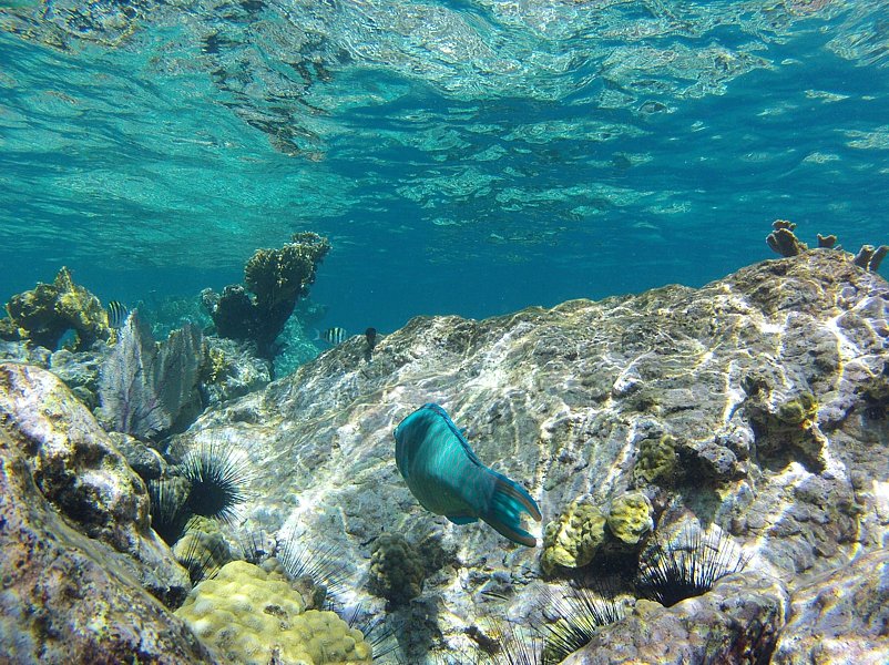 The Indians, British Virgin Islands (BVI)