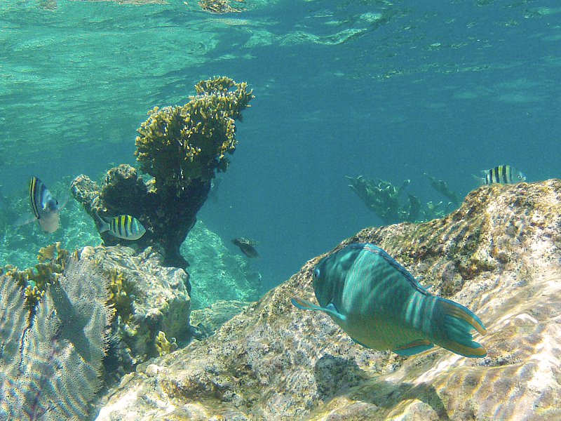 The Indians, British Virgin Islands (BVI)