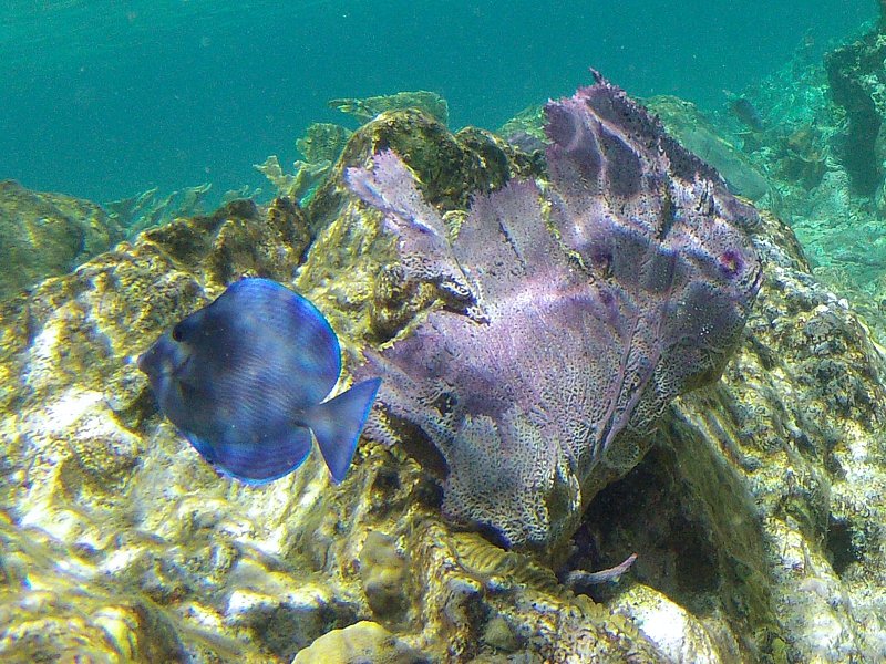 The Indians, British Virgin Islands (BVI)