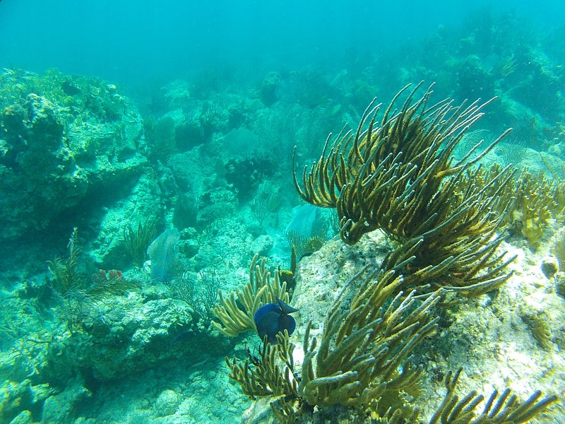 The Indians, British Virgin Islands (BVI)