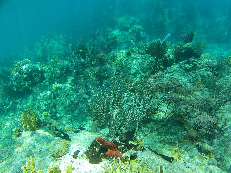 The Indians, British Virgin Islands (BVI)