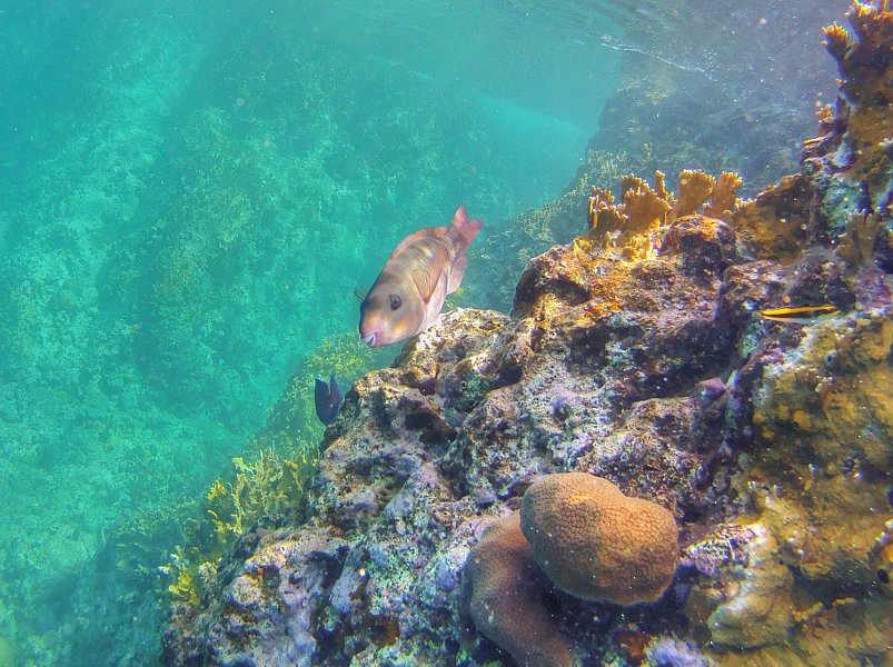 The Indians, British Virgin Islands (BVI)