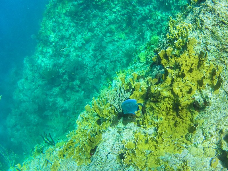 The Indians, British Virgin Islands (BVI)