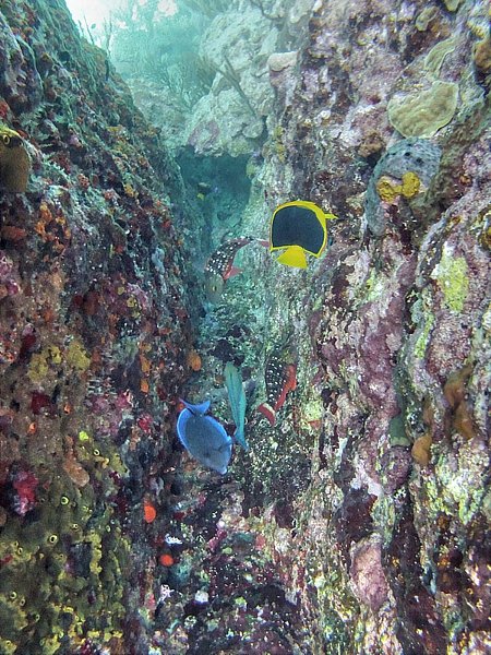 The Indians, British Virgin Islands (BVI)