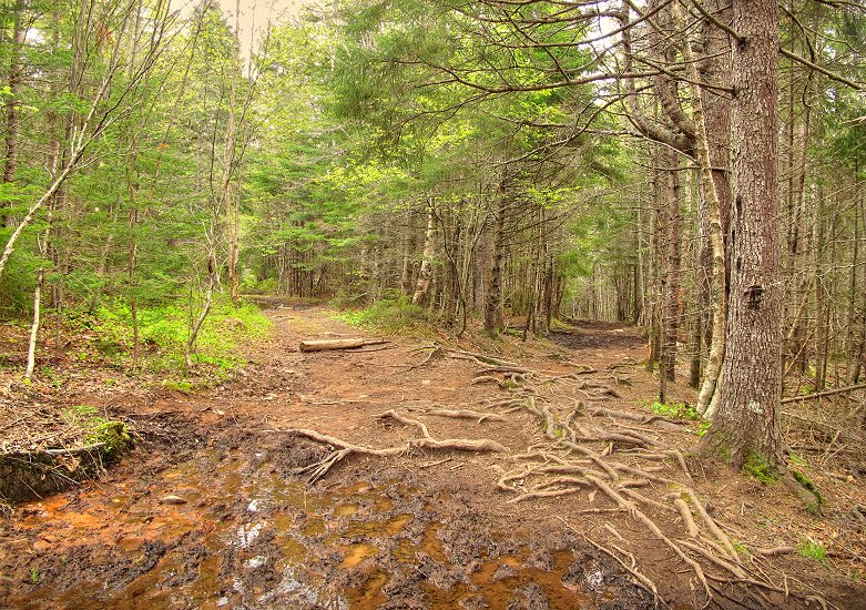 Cape Split Trail (Nova Scotia, Canada)