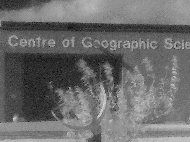 Enhanced image enlarged to 100% (no post-process sharpening)