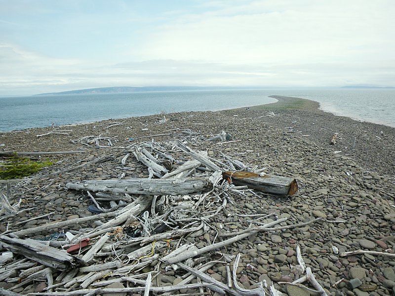 Eastern Bar with driftwood in the foreground