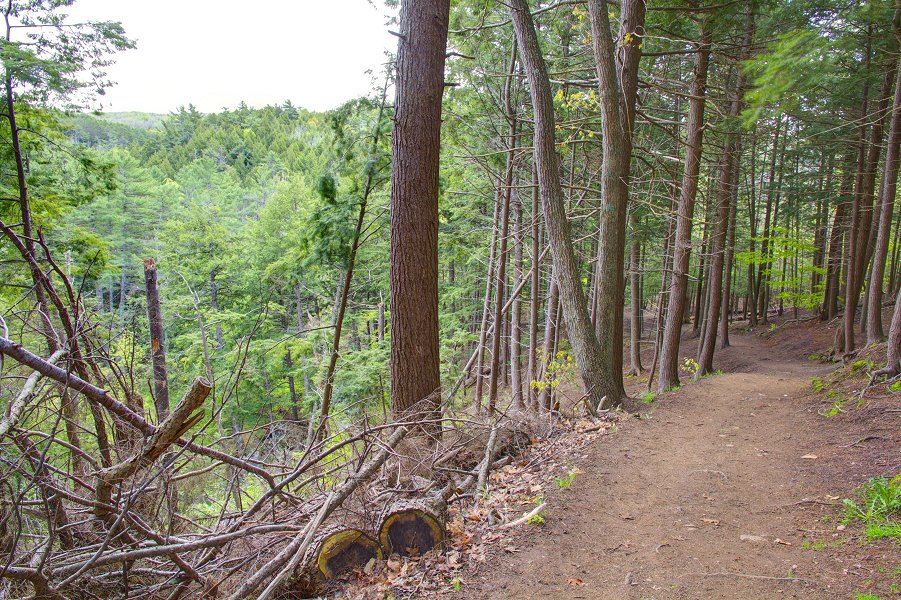 Kentville Ravine Trail