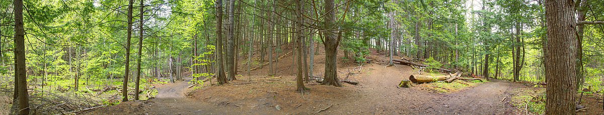 Kentville Ravine Trail