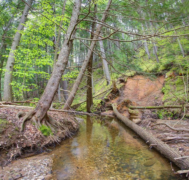 Kentville Ravine Trail