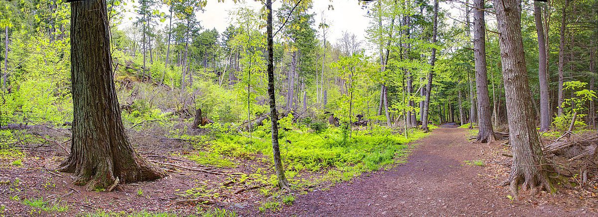 Kentville Ravine Trail