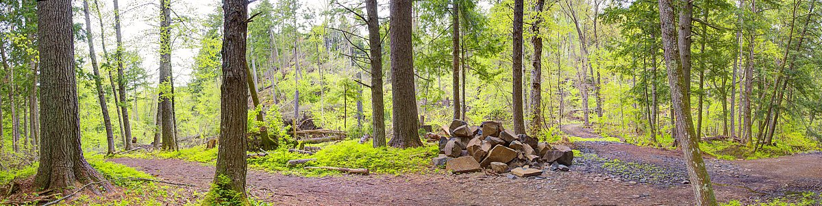 Kentville Ravine Trail