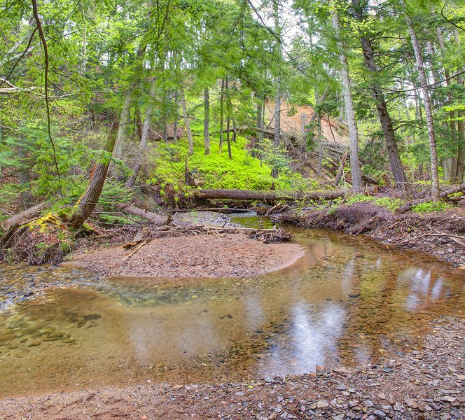 Kentville Ravine Trail