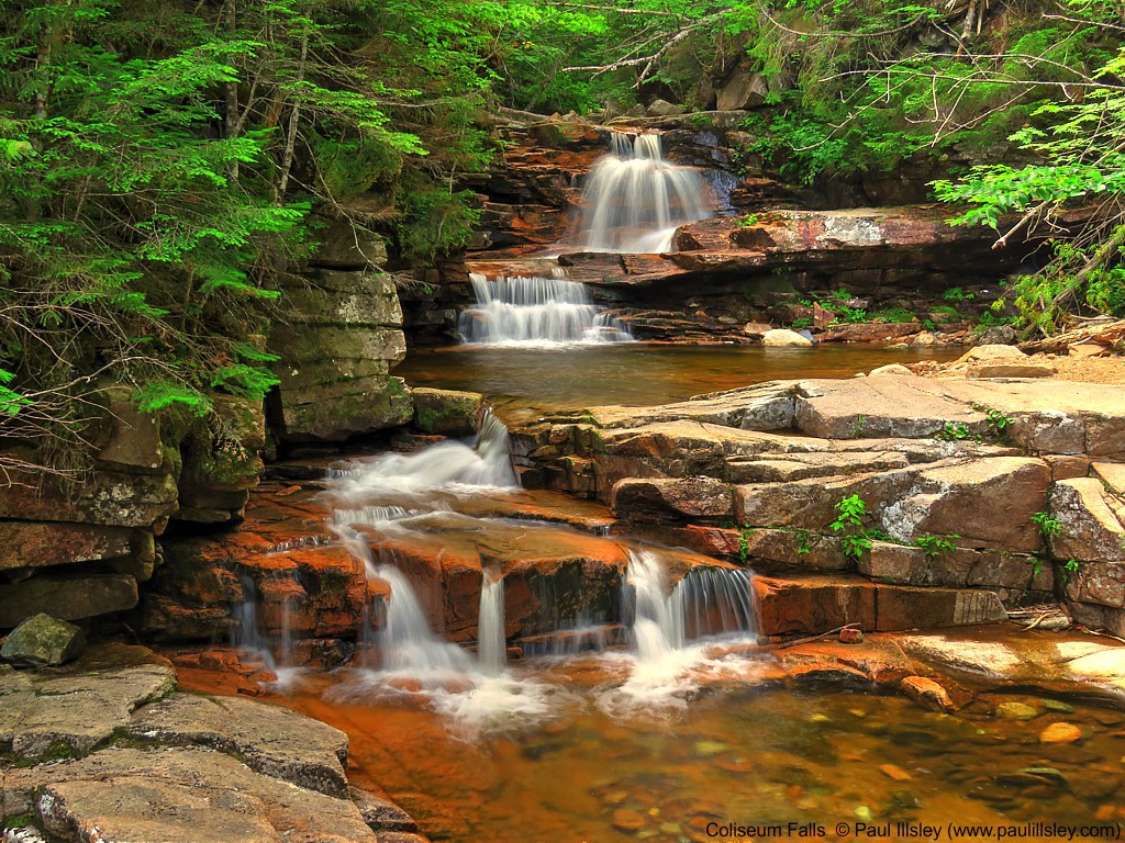 Image © Paul Illsley